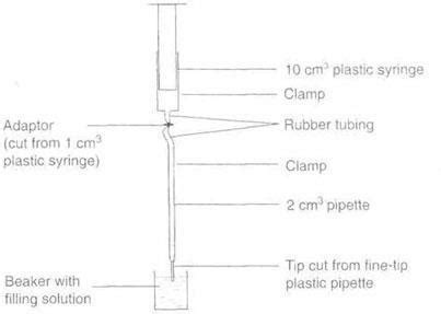 Pipette Bulb Diagram