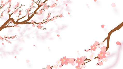 Sakura Petals Vector Art Icons And Graphics For Free Download