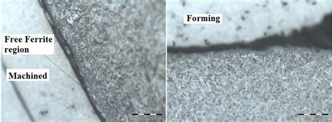 Samples Tempered In Salt With Decarburization Download Scientific Diagram