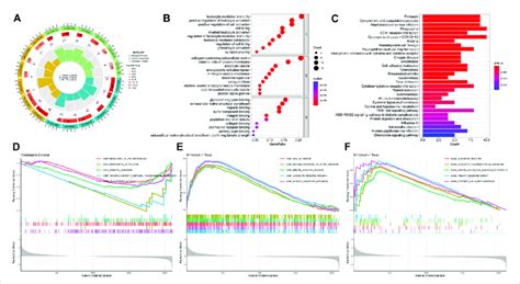 Enrichment Analysis Results Of Functions Pathways And Gene Sets A