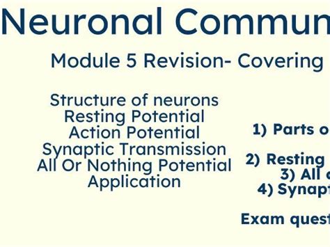 Neuronal Communication A Level Revision Teaching Resources
