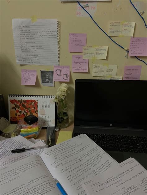 Study Aesthetic For Academic Validation