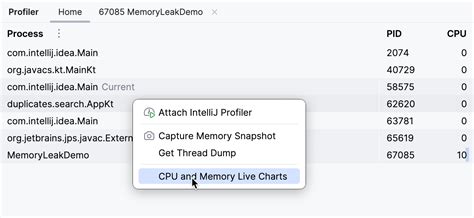 cpu and memory live charts intellij idea documentation