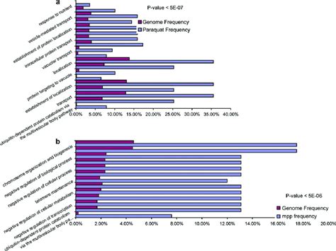 Broad Functional Classification Of The Yeast Genome That Manifests