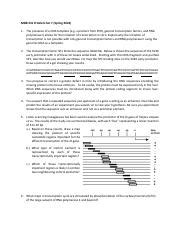 MBB 331 Problem Set 7 2022 1 Pdf MBB 331 Problem Set 7 Spring 2022 1 The Presence Of A DNA