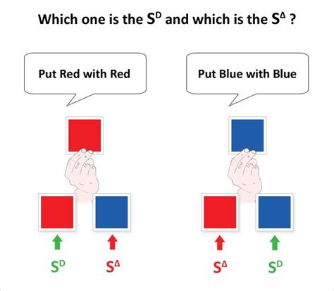 Best ABA Prompting Images On Pinterest Autism Classroom Speech Language Therapy And