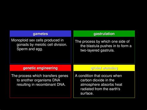 Absorption 2n The Diffusion Of Small Molecules Into Cell Ppt Download