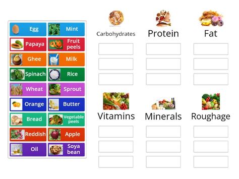 Nutrients Quiz Group Sort