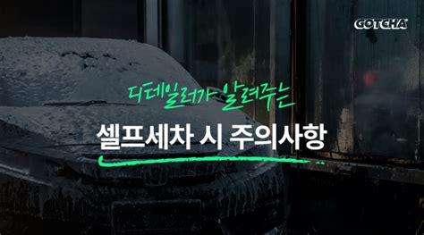 디테일러가 알려주는 셀프세차 시 주의사항 네이버 블로그