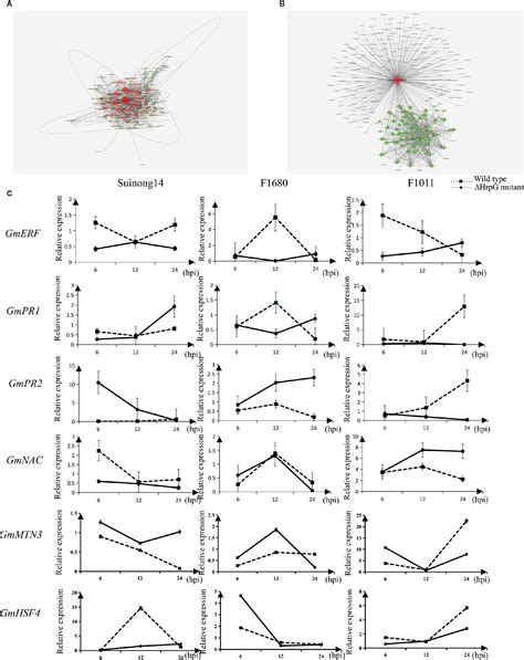 Frontiers Responses Of Soybean Genes In The Substituted Segments Of