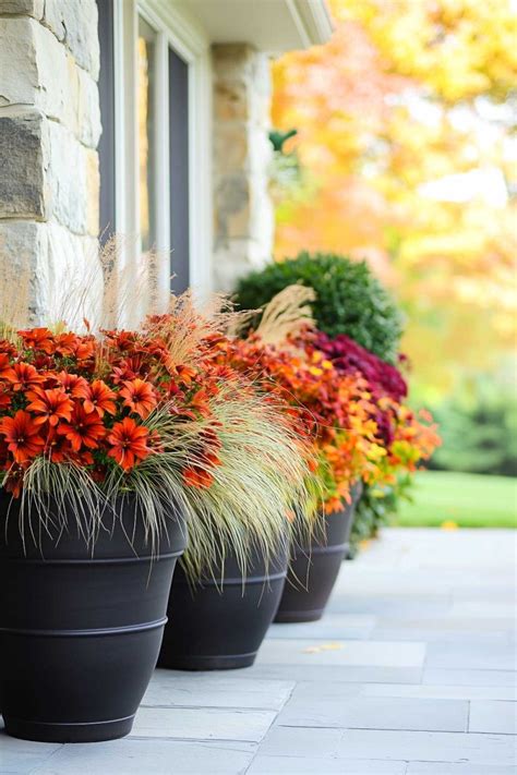 50 Fall Planters Outdoor Arrangements Where Mums Meet Pumpkins