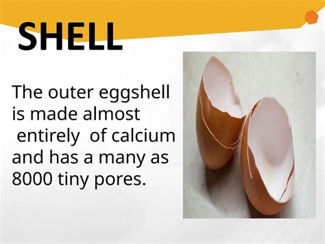 Ppt Lesson 2 Tle 10 Egg Structure Pptx