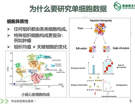单细胞测序分析读懂第8页大山谷图库 单细胞测序分析读懂第8页大山谷图库