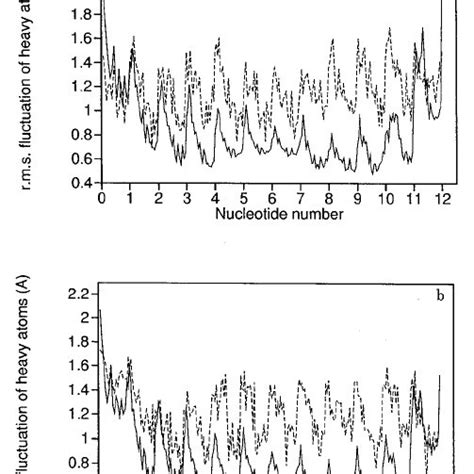 Site Dependence Of Rms Fluctuations Of Heavy Atoms Solid Line