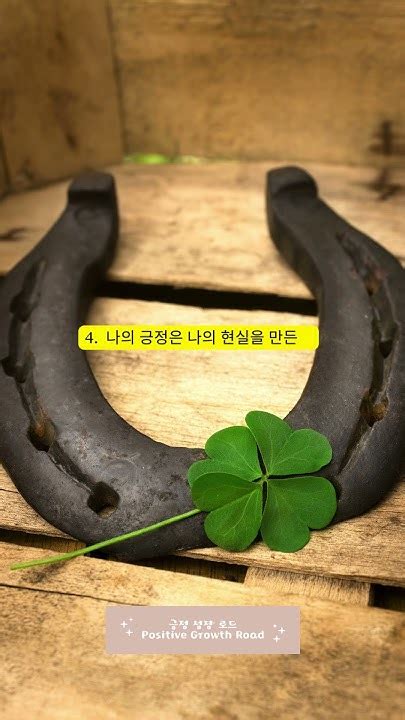 성공 채널 매일의 긍정 확언 행운을 끌어당기는 힘 Shorts 동기부여 자기계발 자기개발 부자 좋은글 행운 긍정확언 긍정 Youtube