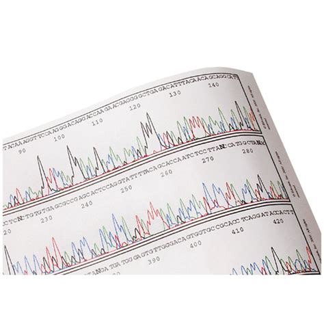 Sequencing The Human Microbiome Genetics Learning Activities