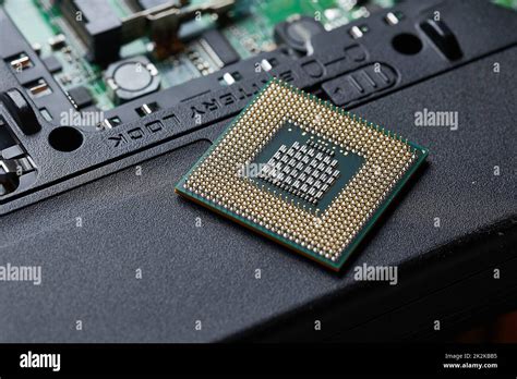 Holding A CPU Stock Photo Alamy