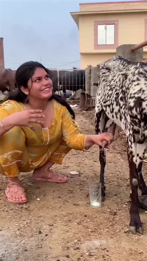 Nisha Gupta Nishagupta017 • Instagram Photos And Videos