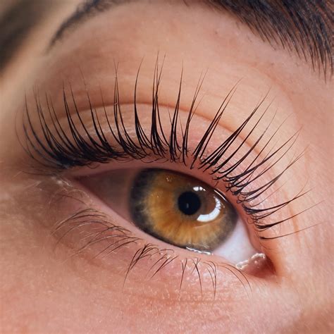 Lash Lifting Perfection Elements