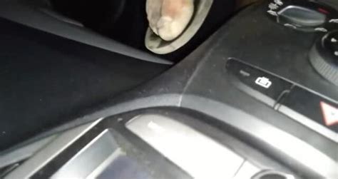 Homeless Dick Video Thisvid Com