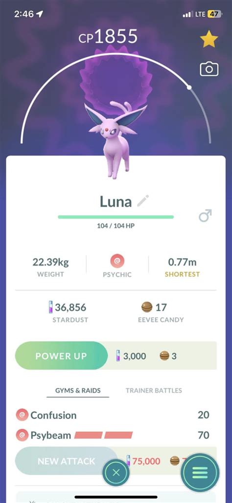 My Eevee Collection So Far R Eevee