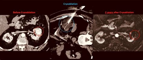 Ahmad Flaifel Posted On Linkedin