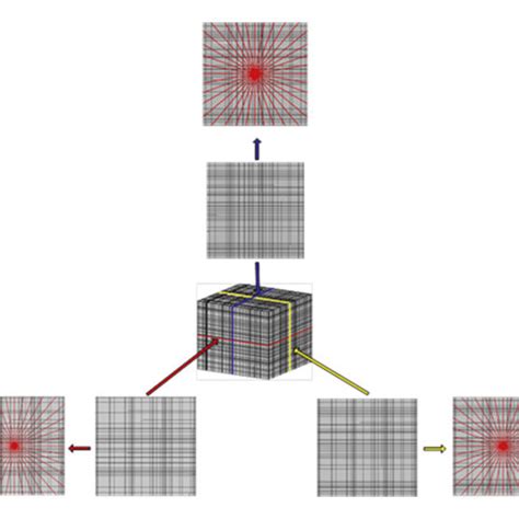 Thirty Five Types Of Three Dimensional Joint Network Models With Download Scientific Diagram
