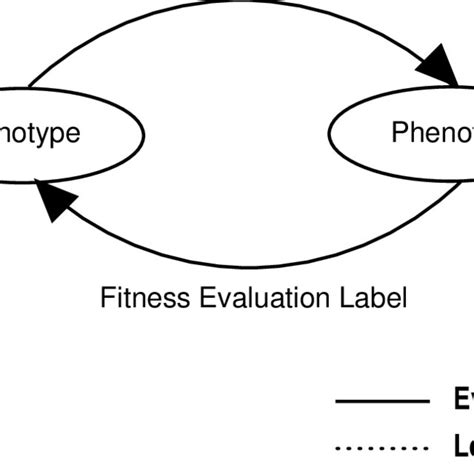 Process Of Evolutionary Design Of Artiicial Neural Networks Download Scientific Diagram