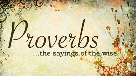 Proverbs Sayings Of The Wise David Docusen