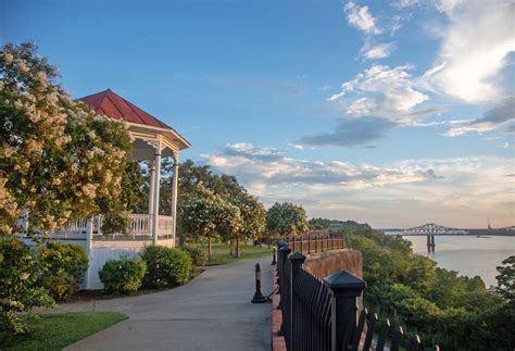 Wildflower Walks And Outdoor Fun Explore Mississippis Scenic State