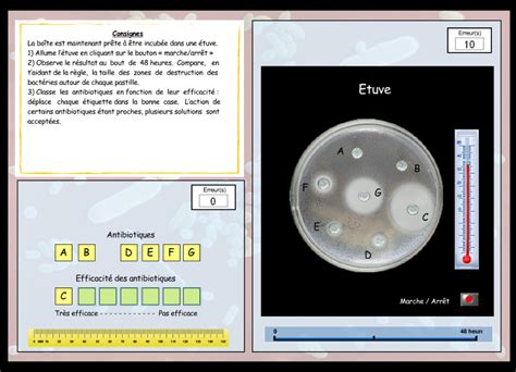 Réaliser Un Antibiogramme Le Corps Humain Et La Santé Louisa Paulin De Muret