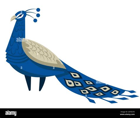 Peacock With Beautiful Tail Bird In Cartoon Style Isolated On White