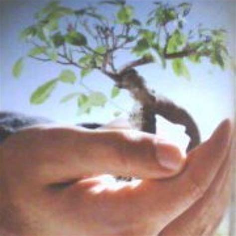 Stream The 7 Th Dimension With Drums By Robert Alan Burchfield Listen Online For Free On