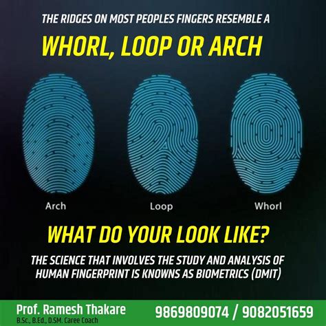 Dmit Brain Test How Does Your Fingerprint Look Like Dmit