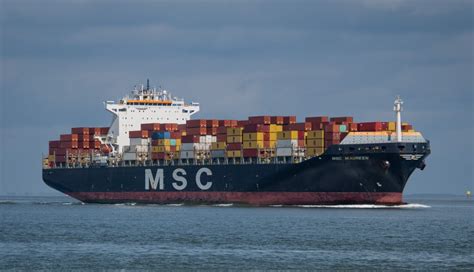 The Complete Guide To Msc Container Tracking