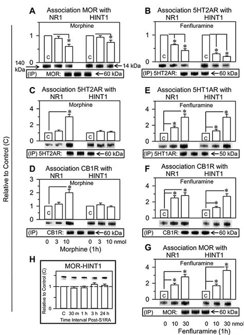 Fenfluramine Diminishes Nmda Receptor Mediated Seizures Via Its Mixed