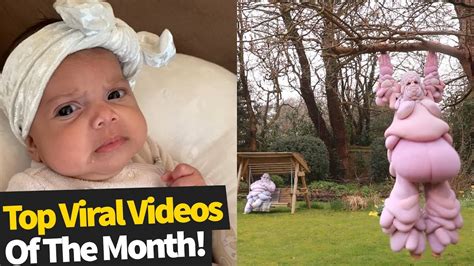 Top 80 Viral Videos Of The Month February 2020 Youtube
