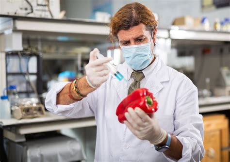 Male Scientist Injecting Reagent From Syringe Into Bell Pepper Performing Scientific