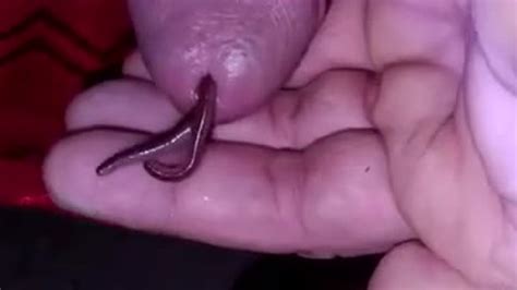 Aroused Man Feels Like Putting This Worm Into His Dick