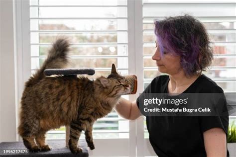 Hairy Women Photos Photos And Premium High Res Pictures Getty Images