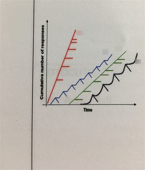 4 Basic Schedules Of Intermittent Reinforcement Diagram Quizlet