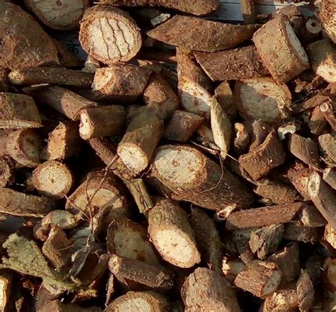 Hemidesmus Indicus 35 Kg At ₹ 150 Kilogram In Dehradun Id 17966183973