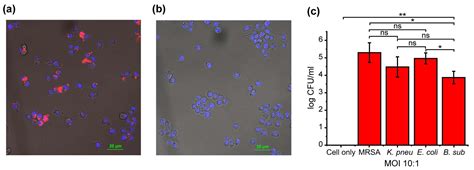 Nanosensor Enabled Detection And Identification Of Intracellular