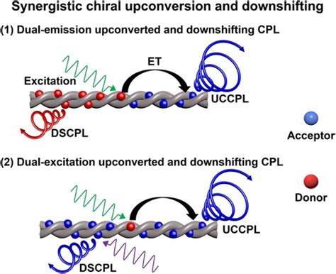 Photon Upconversion Cooperates With Downshifting In Chiral Systems