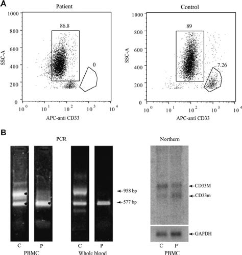 A Flow Cytometry Plots Showing Cd33 Expression On Granulocytes Big