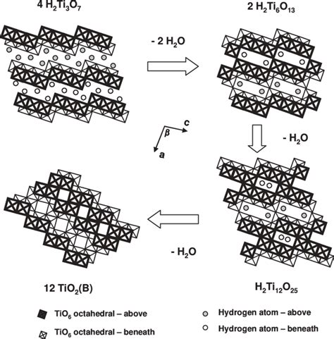 Schematic Representation Proposed For The Thermally Induced Structural Download Scientific