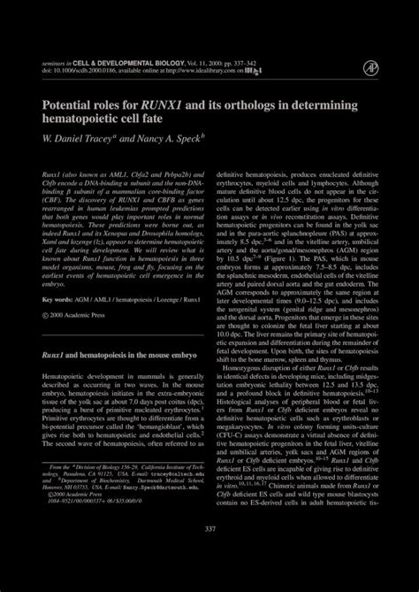 pdf potential roles for runx1 and its orthologs in determining