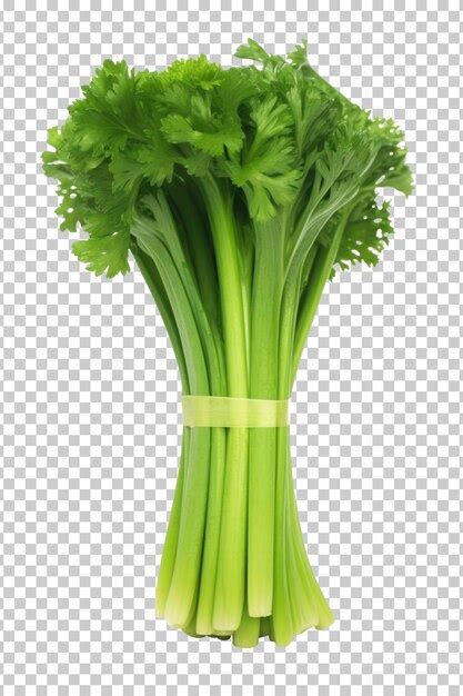 Капля крови изолирована на прозрачном фоне Премиум Psd Файл