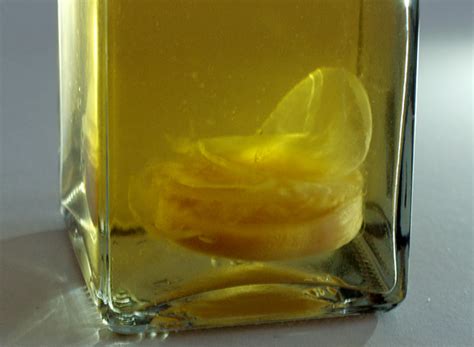 Fundamentals Of Sour Beer Fermentation Sour Beer Blog