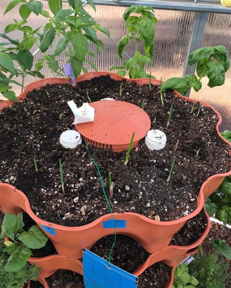 Zone 1 Planting Guide Artofit